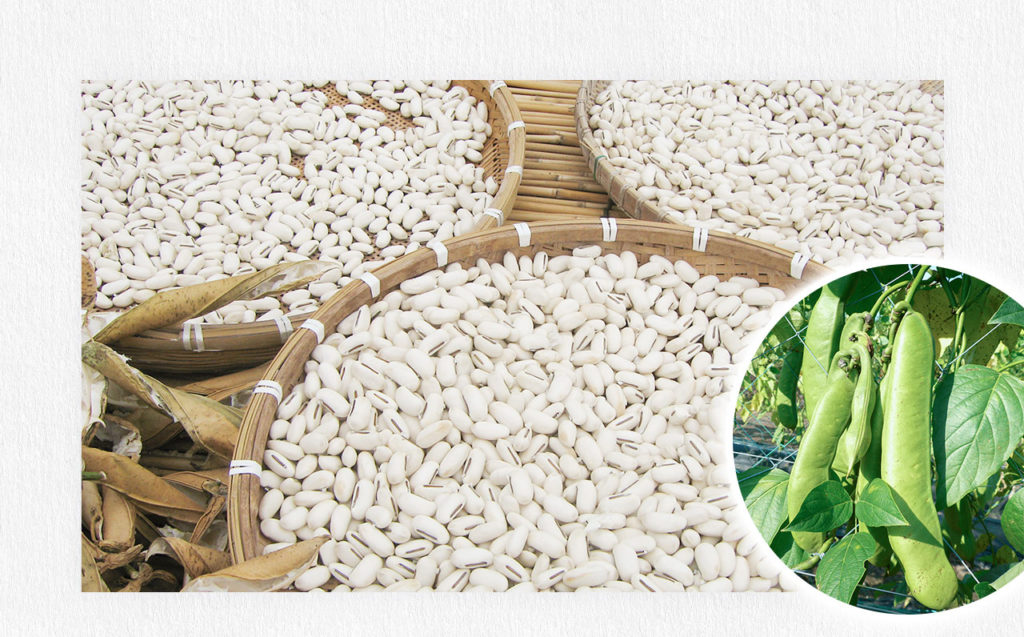 JACK BEAN TEA(白なた豆茶) - Kirei de Lab